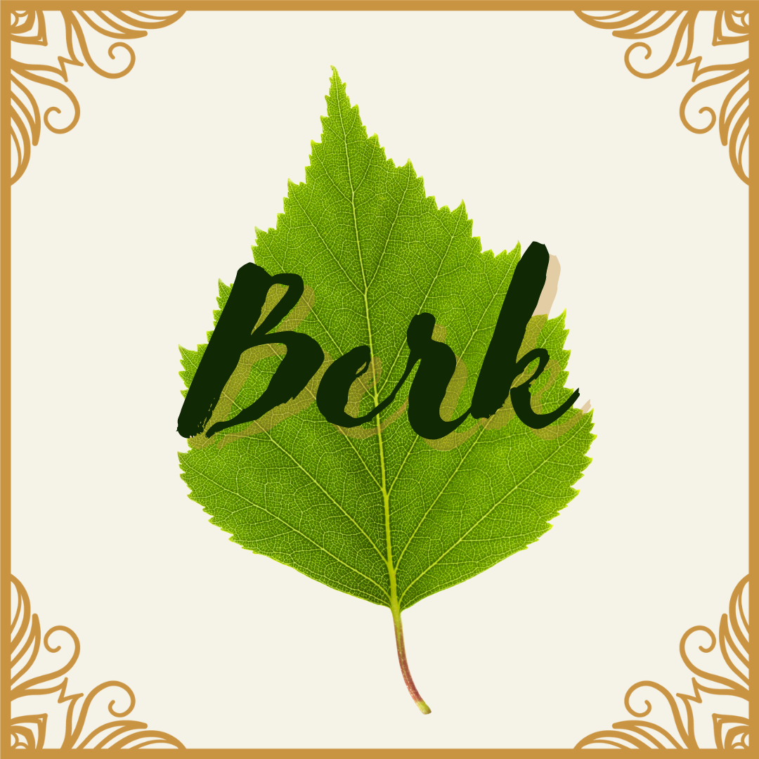 Bomenhoroscoop en symboliek – Jouw Levensboom
